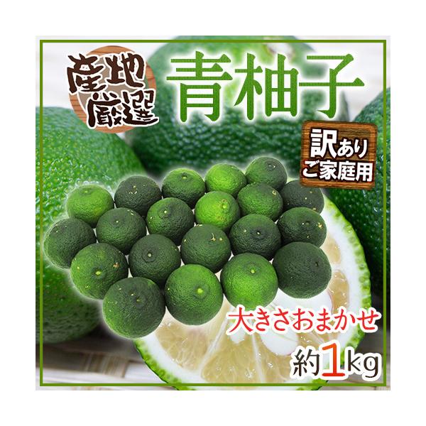 【発売日：2026年05月10日】【送料無料】果汁に、果皮に！独特の爽やかで印象的な香りでおなじみの柚子。その中でも、短い期間だけ楽しめる、フレッシュな青柚子が登場！柚子胡椒にも♪/フルーツ/果物/爆買