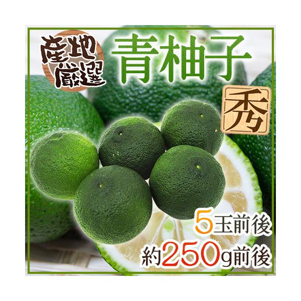 【発売日：2026年05月10日】果汁に、果皮に！独特の爽やかで印象的な香りでおなじみの柚子。その中でも、短い期間だけ楽しめる、フレッシュな青柚子が登場！柚子胡椒にも♪/フルーツ/果物/爆買