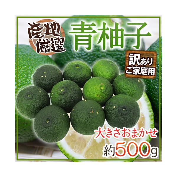 【発売日：2026年05月10日】【送料無料】果汁に、果皮に！独特の爽やかで印象的な香りでおなじみの柚子。その中でも、短い期間だけ楽しめる、フレッシュな青柚子が登場！柚子胡椒にも♪/フルーツ/果物/爆買