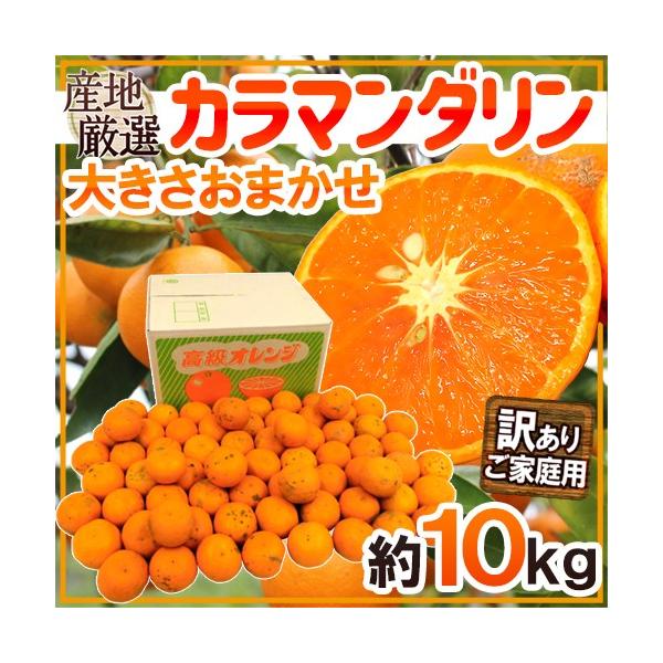 【発売日：2026年04月25日】【送料無料】春まで樹上完熟！ギリギリまで木から栄養を受け取ったコク旨春みかん「カラマンダリン」！みかんのように手で剥いて食べられます♪/フルーツ/果物/10キロ/爆買