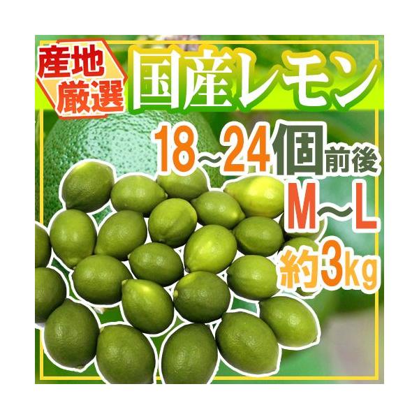 【発売日：2021年08月15日】爽やかな芳香とフレッシュな酸味は輸入物とは段違い！！「輸入物だと農薬が心配……」な方にオススメする、国産レモン♪♪新鮮で減農薬栽培だから、皮まで使えます♪塩レモン作りにも最適♪/フルーツ/果物/3キロ/爆買