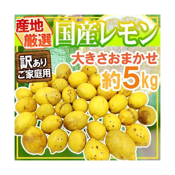 【発売日：2021年08月15日】【送料無料】爽やかな芳香とフレッシュな酸味は輸入物とは段違い！！「輸入物だと農薬が心配……」な方にオススメする、国産レモン♪♪新鮮で減農薬栽培だから、皮まで使えます♪塩レモン作りにも最適♪/フルーツ/果物/...