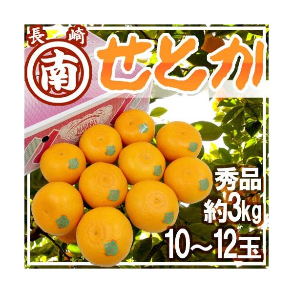 【発売日：2026年02月10日】【送料無料】"清見オレンジ""マーコット""アンコール"３種の柑橘をいいとこどりした「柑橘の大トロ」せとか！！ＴＶや雑誌にもとりあげられ、海外からも注目を浴びる新品種♪/フルーツ/果物/3キロ/爆買