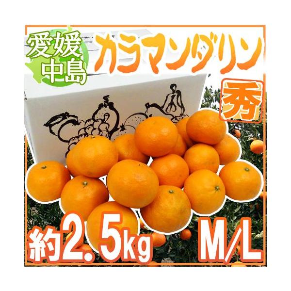 【発売日：2026年04月25日】【送料無料】春まで樹上完熟！ギリギリまで木から栄養を受け取ったコク旨春みかん「カラマンダリン」！愛媛県の中でも注目されるこだわり産地「中島」で育った甘〜いみかん♪/フルーツ/果物/2.5キロ/爆買