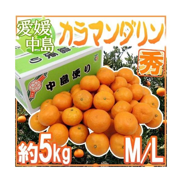 【発売日：2026年04月25日】【送料無料】春まで樹上完熟！ギリギリまで木から栄養を受け取ったコク旨春みかん「カラマンダリン」！愛媛県の中でも注目されるこだわり産地「中島」で育った甘〜いみかん♪/フルーツ/果物/5キロ/爆買