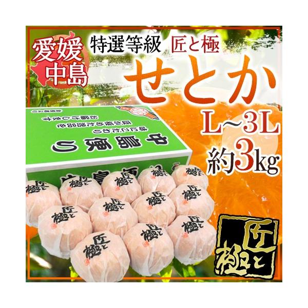 【発売日：2026年01月30日】【送料無料】"清見オレンジ""マーコット""アンコール"３種の柑橘をいいとこどりした「柑橘の大トロ」せとか！！ＴＶや雑誌にもとりあげられ、海外からも注目を浴びる新品種♪柑橘王国・愛媛県の中でも一目置かれる「...