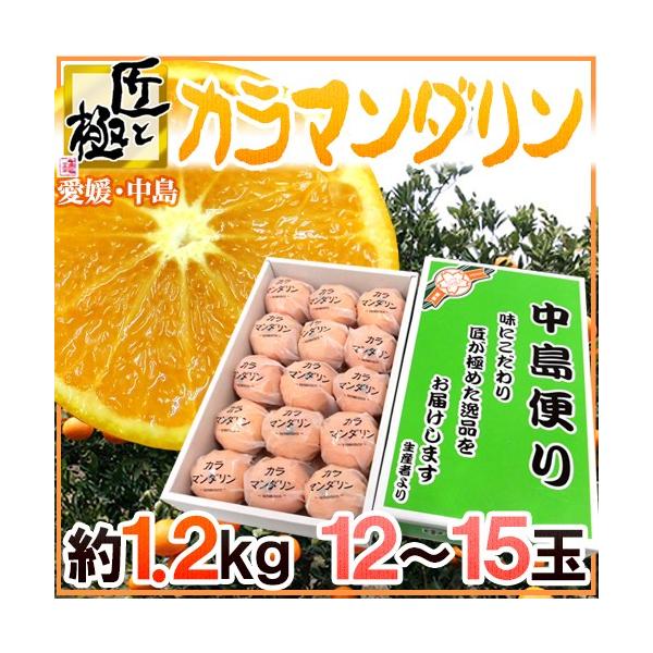 【発売日：2026年04月25日】【送料無料】愛媛でも一目おかれる柑橘天国「中島」の匠と呼ばれる腕利きの特定生産者が作り上げ、手をかけた栽培と厳しい選果で極めた逸品！濃厚春みかん♪お中元/フルーツ/果物/爆買