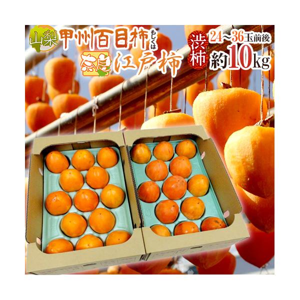 【発売日：2026年11月10日】驚くほどの大玉！！山梨県 甲州百目柿もしくは奈良県西吉野 江戸柿でお届け♪干し柿を作りなれた人が選ぶ上質な渋柿♪食べごたえ抜群です！/フルーツ/果物/10キロ/爆買