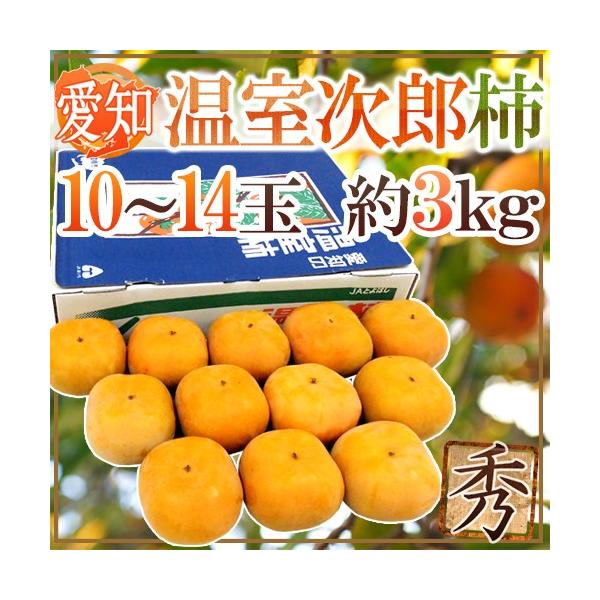 【発売日：2026年08月25日】【送料無料】季節先取り・秋の味！富有柿と人気を二分する人気品種「次郎柿」の温室栽培品♪一足先にあのサクッカリっとしたまろやかな甘さが楽しめます！/じろうがき/フルーツ/果物/3キロ/爆買