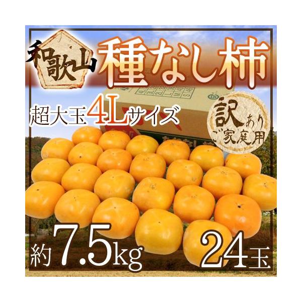 【発売日：2026年10月10日】【送料無料】種がないから食べやすい♪甘くてジューシー種なし柿！品質に定評のある和歌山産限定でお届けします！食べごたえバツグンの超大玉限定♪/柿/種無し柿/種なし柿/庄内柿/かき/カキ/おけさ柿/平核無柿/刀...