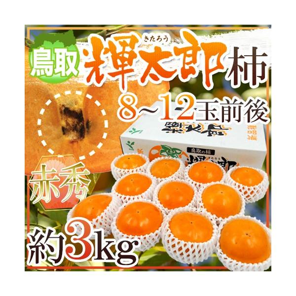 【発売日：2026年10月10日】【送料無料】この時期にこんなに甘い「甘柿」が！？"目玉"を持つ柿界のニューフェイス「輝太郎柿」滑らかな食感と高い糖度、まろやかな風味は中生、晩生品種にも負けない！この時期だけしか食べられない、出荷期間のとっ...