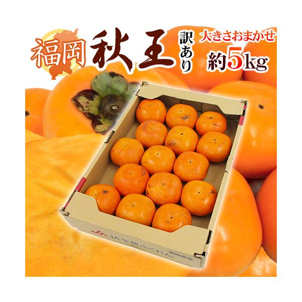 【発売日：2026年11月10日】【送料無料】甘柿を作ったらピカイチ！西日本の名産地、福岡県で生まれた新品種「秋王柿」♪一口食べると芳醇な果汁が口いっぱいに広がります。食感はサクサクと軽やか。それでいて滑らかな果肉は品格のある、上品な味わい...
