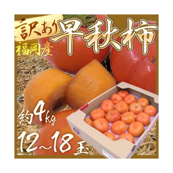 【発売日：2026年10月10日】【送料無料】ほどよく柔らかでジューシーで甘い♪新品種でまだまだ希少な「早秋」今回は訳ありだから超お値打ちでご提供♪/フルーツ/果物/4キロ/爆買