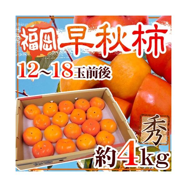 【発売日：2026年10月10日】【送料無料】この時期にこんなに甘い柿が♪新品種で希少な「早秋柿」緻密で滑らかな食感の果肉で、トロっとした柿が好きな方にオススメ！艶のある朱色の果皮で見栄えも◎柿/カキ/かき/甘柿/そうしゅうがき/早秋柿/フ...