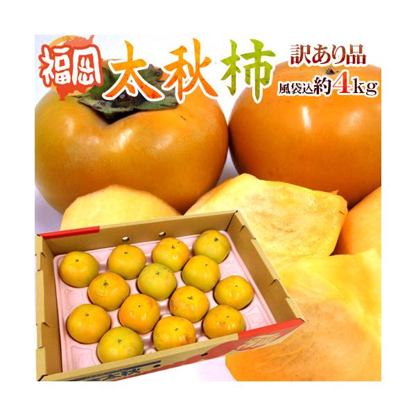 【発売日：2026年10月10日】【送料無料】「シャキシャキ」「サクサク」甘ァ〜い！とろっとした柿が苦手な方にぜひ食べていただきたい！高糖度新食感柿♪/フルーツ/果物/4キロ/爆買