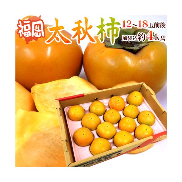 【発売日：2026年10月10日】【送料無料】「シャキシャキ」「サクサク」甘ァ〜い！とろっとした柿が苦手な方にぜひ食べていただきたい！高糖度新食感柿♪/フルーツ/果物/4キロ/爆買
