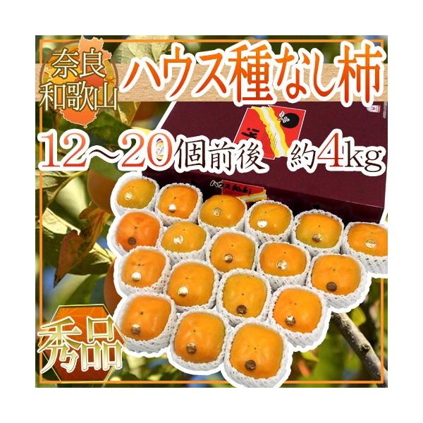 【発売日：2026年09月25日】【送料無料】柿好きさん、おまたせしました！この時期からもう柿が食べられる！？甘くてサクサク、熟すとジューシーな種なし柿！ハウス栽培で丁寧に作られた種なし柿はとってもあま〜〜い♪/刀根早生/種無し柿/フルーツ...