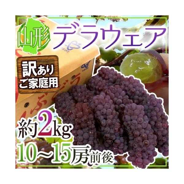 【発売日：2026年07月25日】ビックリする程甘い！パクパク食べられちゃう定番小粒ぶどう・デラウェア！濃い甘さと程よい酸味、独特の芳香は癖になる！？お子様のおやつなどにも最適です♪/フルーツ/果物/2キロ/爆買