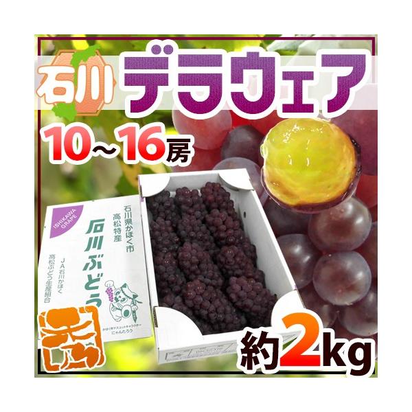 【発売日：2026年07月05日】【送料無料】ルビーロマンの里「石川県」はデラウェアを作っても美味しい！？濃厚な甘酸っぱさと食べやすさの定番小粒ぶどう「デラウェア」おやつやデザートにも♪ブドウ/葡萄/デラウェア/デラ/種無し/たねなし/御中...