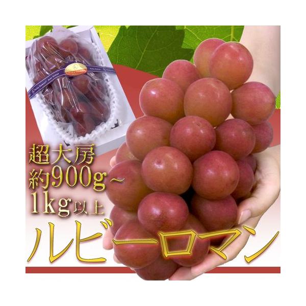 【発売日：2026年08月10日】【送料無料】今話題！毎年初競りでは云十万で取引される伝説の大粒葡萄【ルビーロマン】口いっぱいになる粒の大きさと爽やかでジューシーな味わいは一度食べたらもうトリコ♪「お中元」/フルーツ/果物/1キロ/爆買