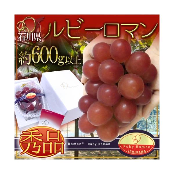 【発売日：2026年08月10日】【送料無料】今話題！毎年初競りでは云十万で取引される伝説の大粒葡萄【ルビーロマン】口いっぱいになる粒の大きさと爽やかでジューシーな味わいは一度食べたらもうトリコ♪「お中元」/フルーツ/果物/爆買