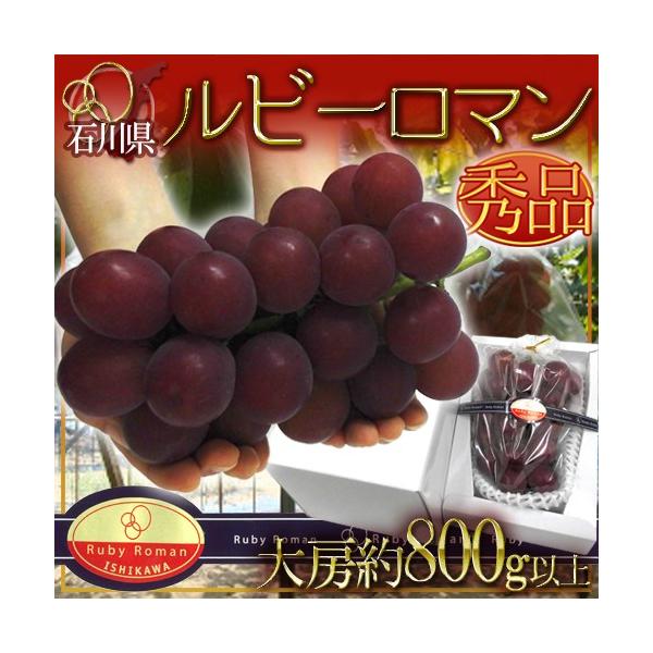 【発売日：2026年08月10日】【送料無料】今話題！毎年初競りでは云十万で取引される伝説の大粒葡萄【ルビーロマン】口いっぱいになる粒の大きさと爽やかでジューシーな味わいは一度食べたらもうトリコ♪「中元」/フルーツ/果物/爆買