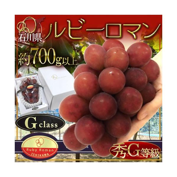 【発売日：2026年08月10日】【送料無料】今話題！毎年初競りでは云十万で取引される伝説の大粒葡萄【ルビーロマン】口いっぱいになる粒の大きさと爽やかでジューシーな味わいは一度食べたらもうトリコ♪「中元」/フルーツ/果物/爆買