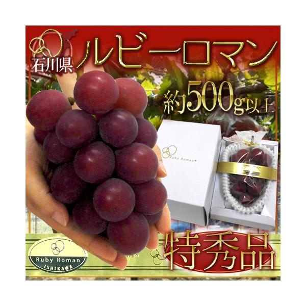 【発売日：2026年08月10日】【送料無料】今話題！毎年初競りでは云十万で取引される伝説の大粒葡萄【ルビーロマン】口いっぱいになる粒の大きさと爽やかでジューシーな味わいは一度食べたらもうトリコ♪「中元」/フルーツ/果物/爆買