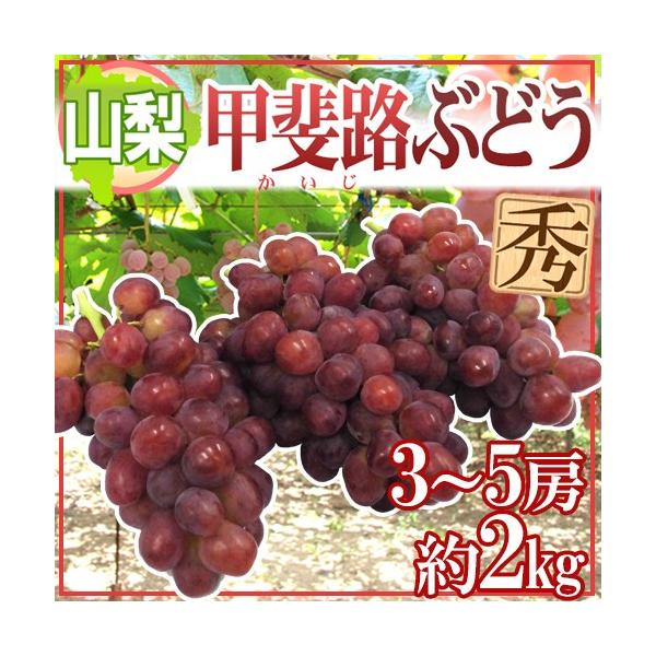 【発売日：2026年09月15日】【送料無料】まるで赤いマスカット！？香り高く、超高糖度！花のように鮮やかな「赤ぶどうの女王」♪脱粒しづらい希少品種ぶどうは、贈答にも最適です♪/かいじブドウ/カイジ葡萄/フルーツ/果物/2キロ/爆買