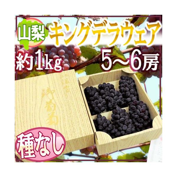 【発売日：2026年05月25日】【送料無料】「甘いデラウェアがもっと大粒だったらいいのに……」という方に！！大粒で超高糖度の「キング」デラウェア♪希少だからギフトにも◎/フルーツ/果物/1キロ/爆買