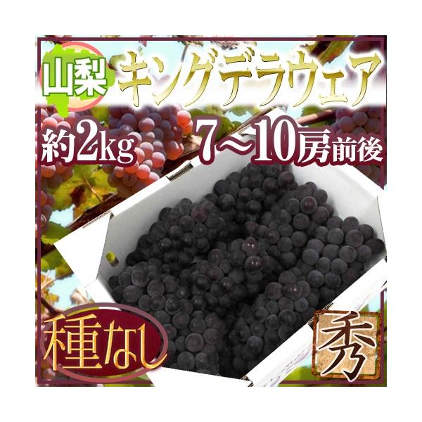 【発売日：2026年05月25日】【送料無料】「甘いデラウェアがもっと大粒だったらいいのに……」という方に！！大粒で超高糖度の「キング」デラウェア♪希少だからギフトにも◎/ブドウ/葡萄/デラウェアー/種無し/フルーツ/果物/2キロ/爆買