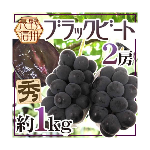 【発売日：2026年09月15日】【送料無料】藤稔×ピオーネ！大人気の黒ぶどうを掛け合わせ、弱点を補いあわせるように作り上げた「ブラックビート」上品でスッキリとした甘さ、美しい黒々とした大粒♪ニューピオーネ/ピオーネ/ふじみのり/藤稔/黒ぶ...