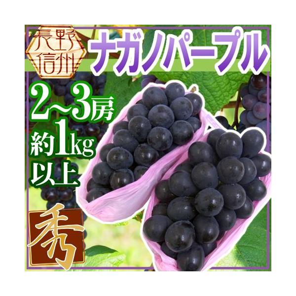 【発売日：2026年09月10日】大注目の新品種「ナガノパープル」！なんと皮ごと、まるごと食べられて種もない黒ぶどう！！巨峰のようなコクと、マスカットのような爽やかな甘味♪/長野パープル/ながのバープル/種無し/種ナシ/種なし/たねなし/タ...