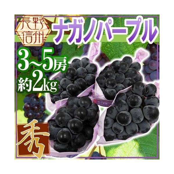 【発売日：2026年09月10日】【送料無料】大注目の新品種「ナガノパープル」！なんと皮ごと、まるごと食べられて種もない黒ぶどう！！巨峰のようなコクと、マスカットのような爽やかな甘味♪/種無し/種ナシ/種なし/たねなし/タネなし/タネナシ/...