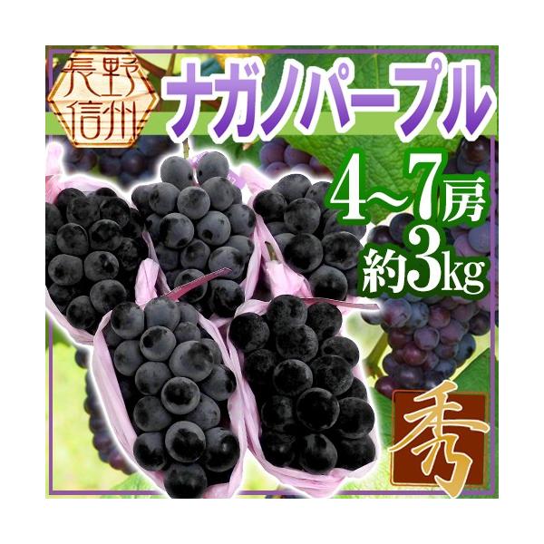 【発売日：2026年09月10日】大注目の新品種「ナガノパープル」！なんと皮ごと、まるごと食べられて種もない黒ぶどう！！巨峰のようなコクと、マスカットのような爽やかな甘味♪/長野パープル/ながのバープル/種無し/種ナシ/種なし/たねなし/タ...