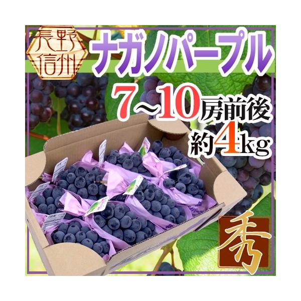 【発売日：2026年09月10日】【送料無料】長野県の誇る新品種【ナガノパープル】皮ごと食べられて種がない夢のような黒ぶどう♪巨峰由来のコク深い甘さと爽やかさは絶品です！/フルーツ/果物/4キロ/爆買