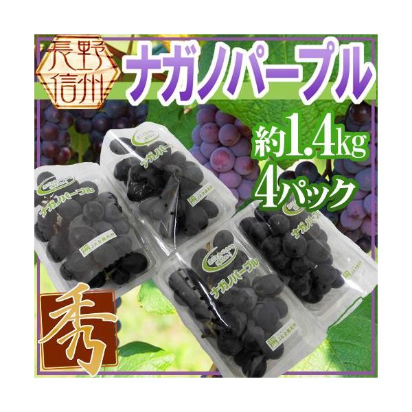 【発売日：2026年08月30日】【送料無料】サクサク♪あまぁ〜い！皮ごと食べられて種がないからとっても食べやすい！「巨峰王国」長野が開発した期待の新品種♪コクのある濃い甘さは流石です♪/フルーツ/果物/1.4キロ/爆買