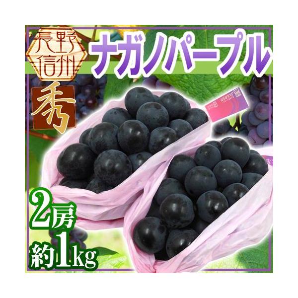 【発売日：2026年09月10日】【送料無料】大注目の新品種「長野パープル」！なんと皮ごと、まるごと食べられて種もない黒ぶどう！！巨峰のようなコクと、マスカットのような爽やかな甘味♪/種無し/種ナシ/種なし/たねなし/タネなし/タネナシ/ブ...