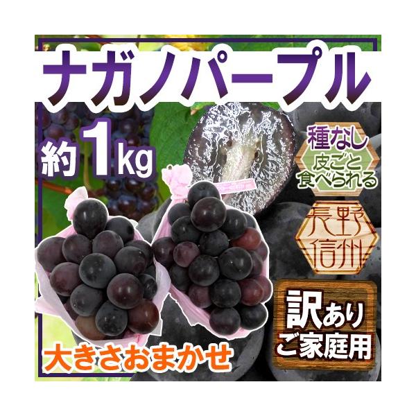 【発売日：2026年09月10日】【送料無料】サクサク♪あまぁ〜い！皮ごと食べられて種がないからとっても食べやすい！「巨峰王国」長野が開発した期待の新品種♪コクのある濃い甘さは流石です♪「中元」/フルーツ/果物/1キロ/爆買