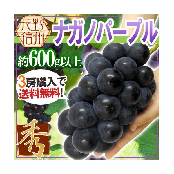 【発売日：2026年09月10日】大注目の新品種「長野パープル」！なんと皮ごと、まるごと食べられて種もない黒ぶどう！！巨峰のようなコクと、マスカットのような爽やかな甘味♪/長野パープル/ながのバープル/種無し/種ナシ/種なし/たねなし/タネ...