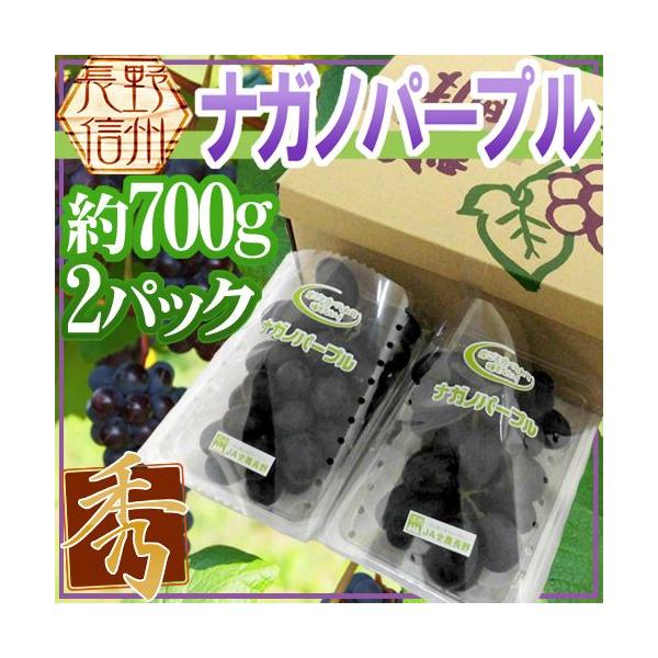 【発売日：2026年08月30日】【送料無料】サクサク♪あまぁ〜い！皮ごと食べられて種がないからとっても食べやすい！「巨峰王国」長野が開発した期待の新品種♪コクのある濃い甘さは流石です♪「中元」/フルーツ/果物/爆買