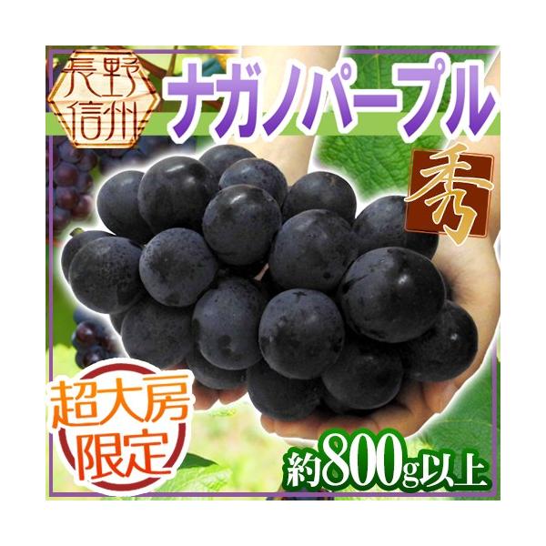 【発売日：2026年09月10日】大注目の新品種「ナガノパープル」！皮ごと、まるごと食べられて種もない♪驚くほどの甘さと巨峰譲りの濃厚なコクは一口食べたらヤミツキに！/長野パープル/ながのバープル/種無し/種ナシ/種なし/たねなし/タネなし...