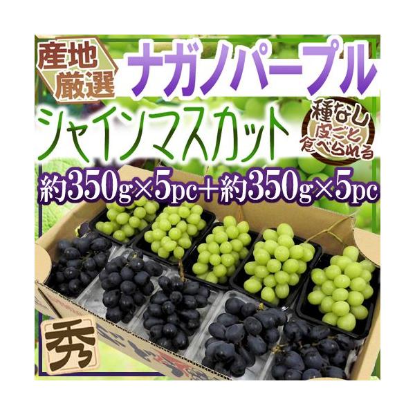 【発売日：2026年09月10日】【送料無料】皮ごとまるごと食べられて種もない♪張りつめた粒を口の中に放り込めばサクサクッじゅわ〜っと広がる甘味！黒ぶどう＆青ぶどうのルーキーをどちらもセットで！/フルーツ/果物/3.5キロ/爆買