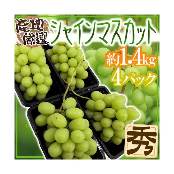 【発売日：2025年07月20日】【送料無料】皮ごとまるごと食べられて種もない♪張りつめた粒を口の中に放り込めばサクサクッじゅわ〜！っと広がる甘味！一度食べたら衝撃を受けるおいしさです♪/フルーツ/果物/1.4キロ/爆買