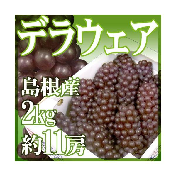 【発売日：2026年06月10日】【送料無料】島根県の名産【デラウェア】は超高糖度で種なしだからお子様やご年配の方にも食べやすいぶどうです♪初夏から夏にかけて、お中元等の贈答にも最適！「中元」/フルーツ/果物/2キロ/爆買