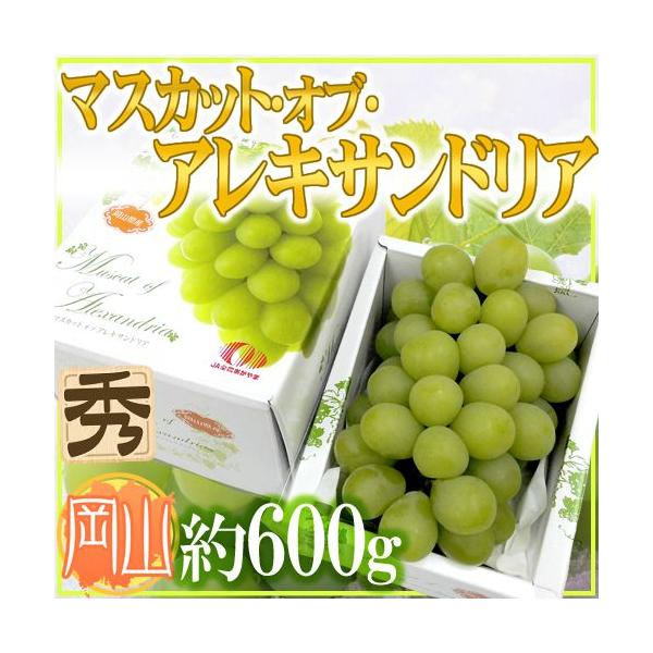 【発売日：2026年07月10日】【送料無料】2000年以上の歴史を持つロマン溢れる「果実の女王」その異名に相応しい高貴な香りと上品な味わいはマスカットファンの心をつかんで離しません♪「中元」/フルーツ/果物/爆買