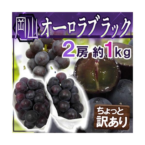 【発売日：2026年07月25日】【送料無料】岡山自慢の新品種！黒々としたまるい粒、高い糖度、酸味や渋みのない皮♪粒が房から離れにくい♪今大注目を浴びる幻の黒ぶどうです♪/フルーツ/果物/1キロ/爆買