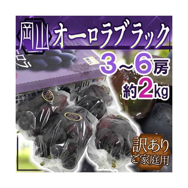 【発売日：2026年07月25日】【送料無料】岡山自慢の新品種！黒々としたまるい粒、高い糖度、酸味や渋みのない皮♪粒が房から離れにくい♪今大注目を浴びる幻の黒ぶどうです♪/フルーツ/果物/2キロ/爆買