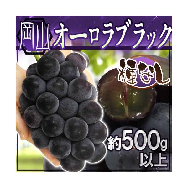 【発売日：2026年09月10日】岡山自慢の新品種！巨峰やピオーネに負けない美味しさの黒ぶどう♪黒々としたまるい粒が並ぶ美しい姿、高い糖度、酸味や渋みのない皮♪粒が房から離れにくいので贈答にもピッタリです！/フルーツ/果物/爆買