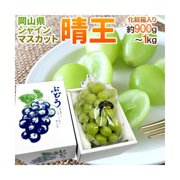 【発売日：2026年07月25日】【送料無料】今注目を浴びている【シャインマスカット「晴王」】種なしで皮ごと食べられ、高糖度！頬張れば口いっぱいにマスカットの香りが広がります♪/フルーツ/果物/1キロ/爆買